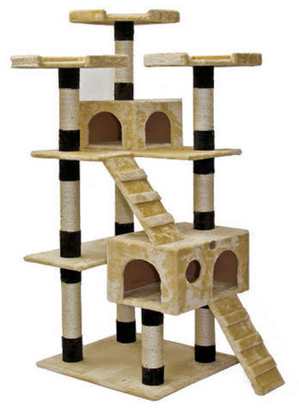 Cat Vertical Space 101: The Ultimate Guide