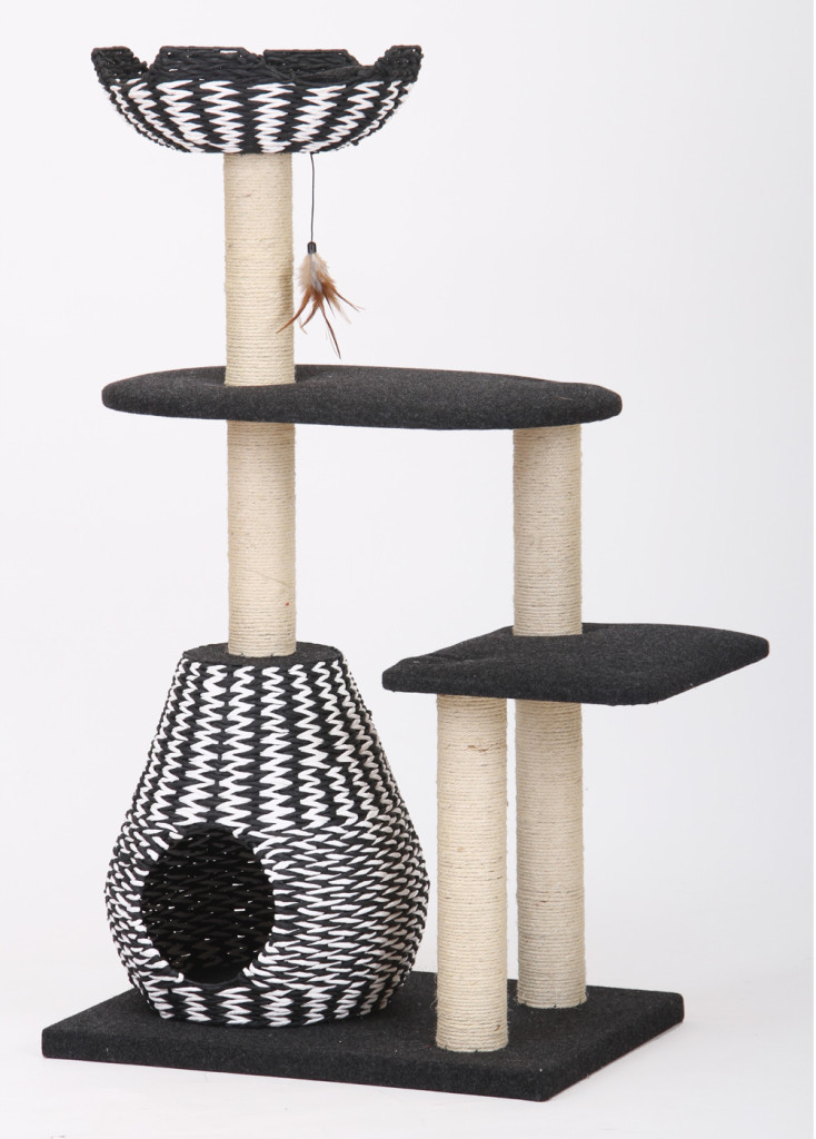 Cat Vertical Space 101: The Ultimate Guide