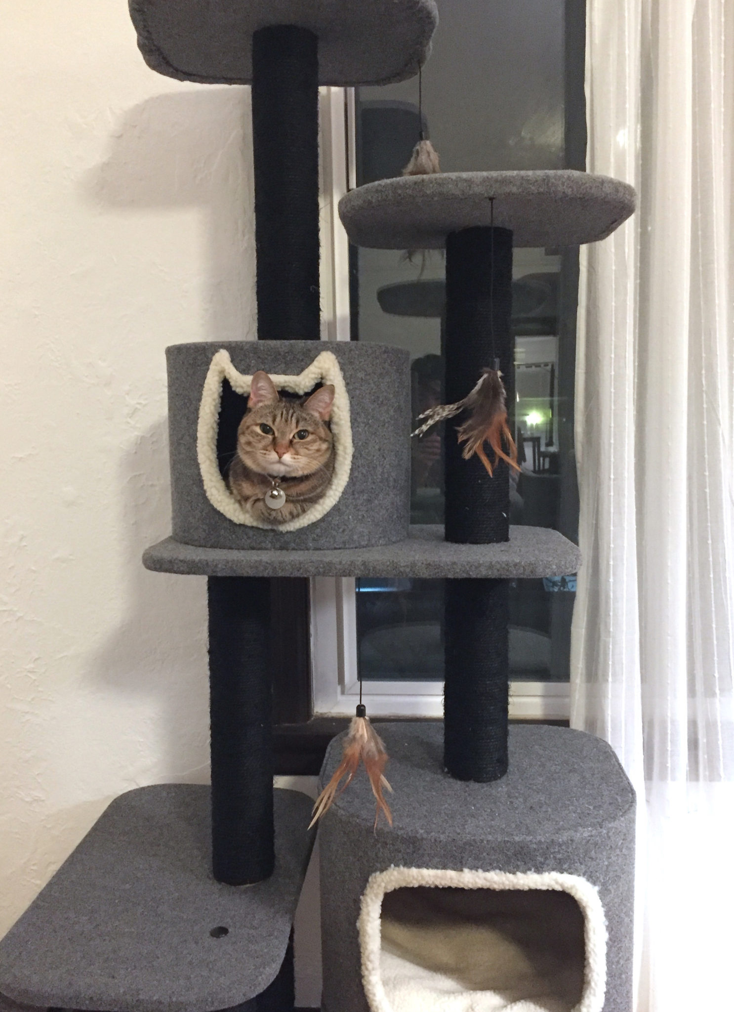 The Latest Why Cat Kitty Hacks: Vertical Space Edition