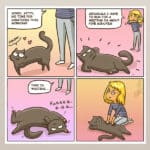 Cat Comics = The Greatest Comics